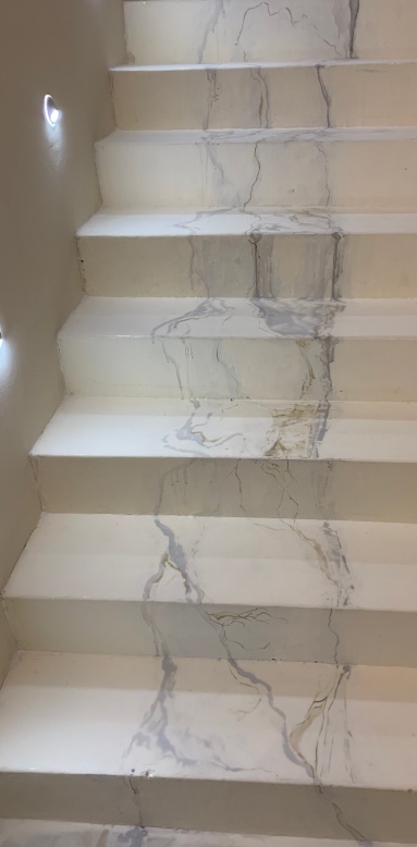 Danijela Tasić Cvetković